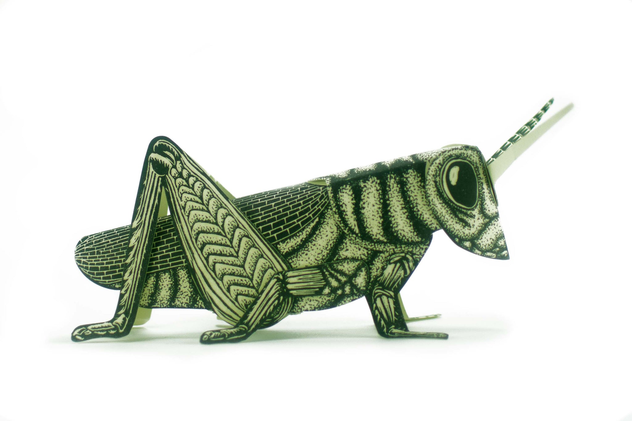 Grasshopper Paper Sculpture- A DIY Kit