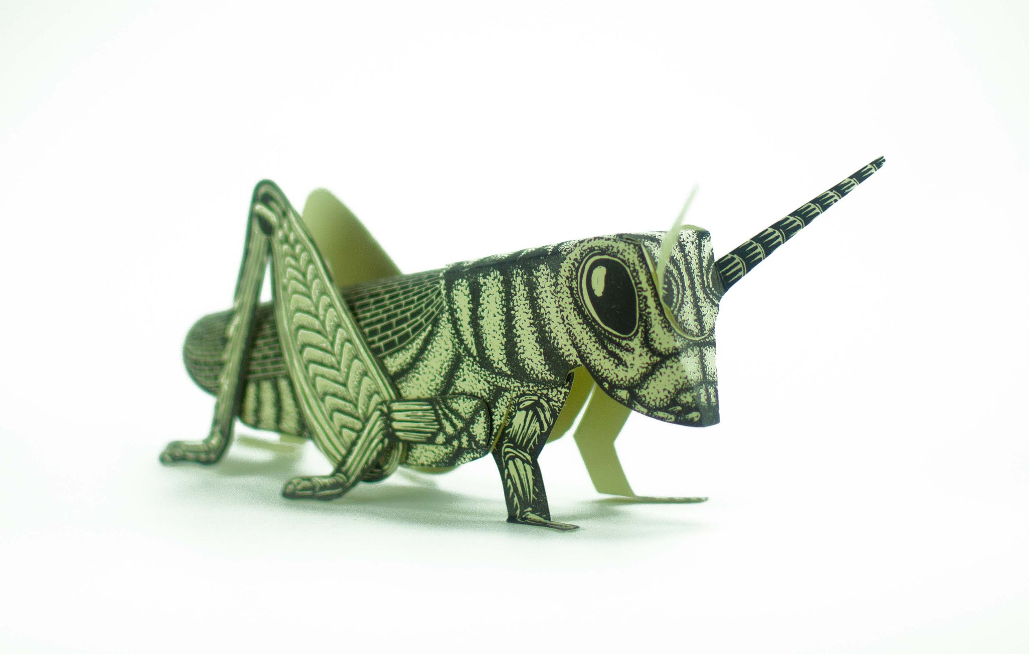 Grasshopper Paper Sculpture- A DIY Kit