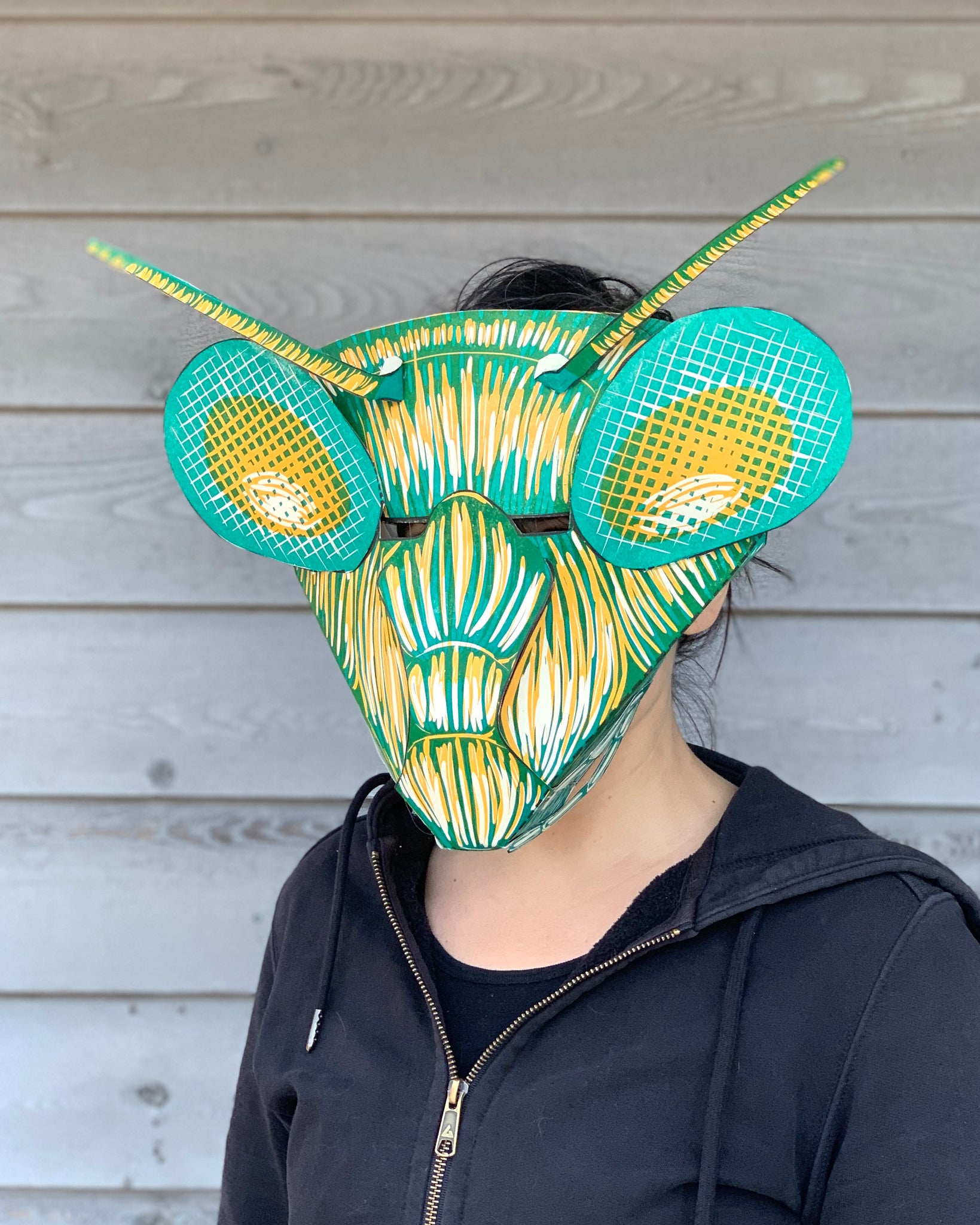 Praying Mantis Mask Kit