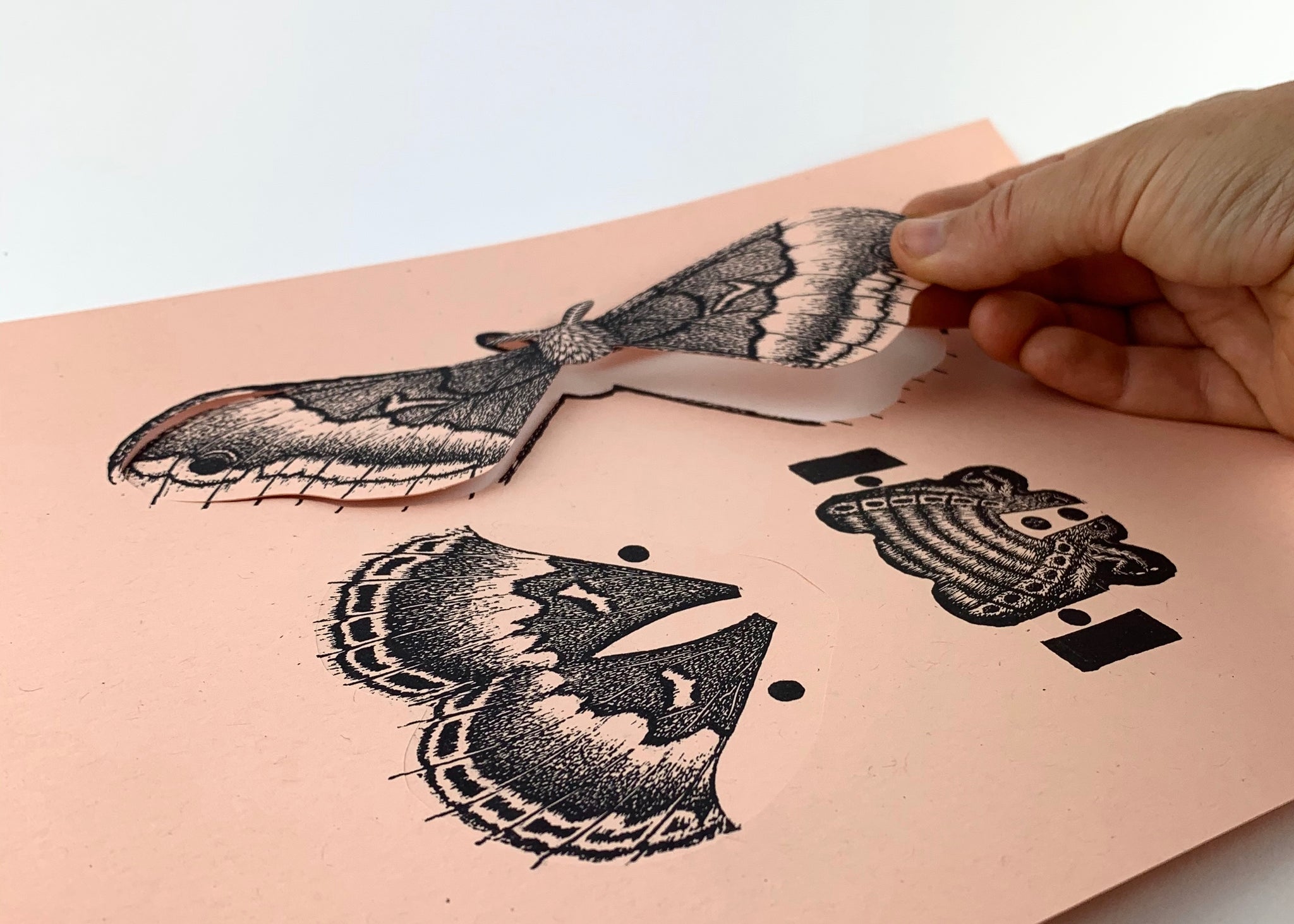 Moth Paper Sculpture- A DIY Kit