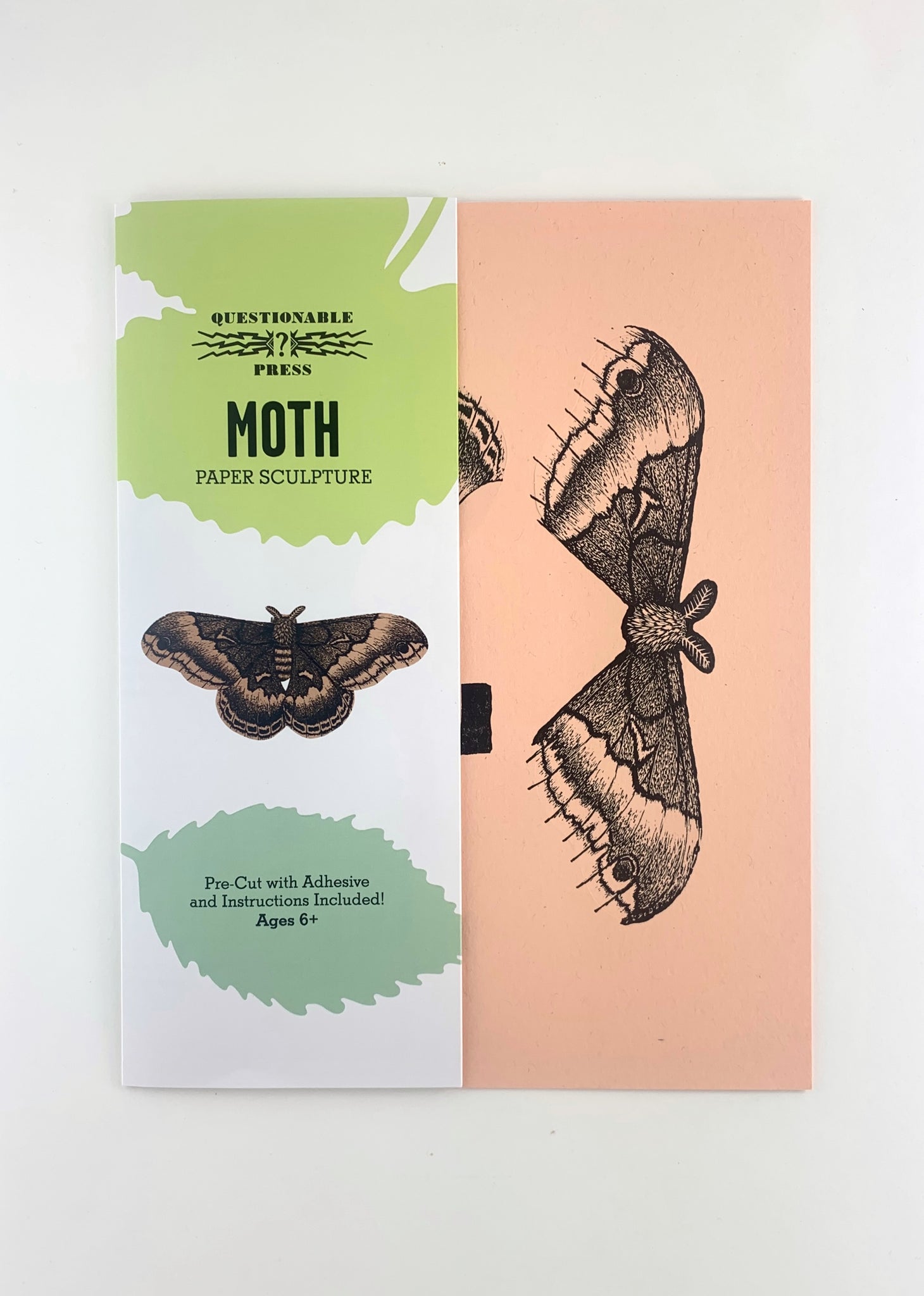 Moth Paper Sculpture- A DIY Kit