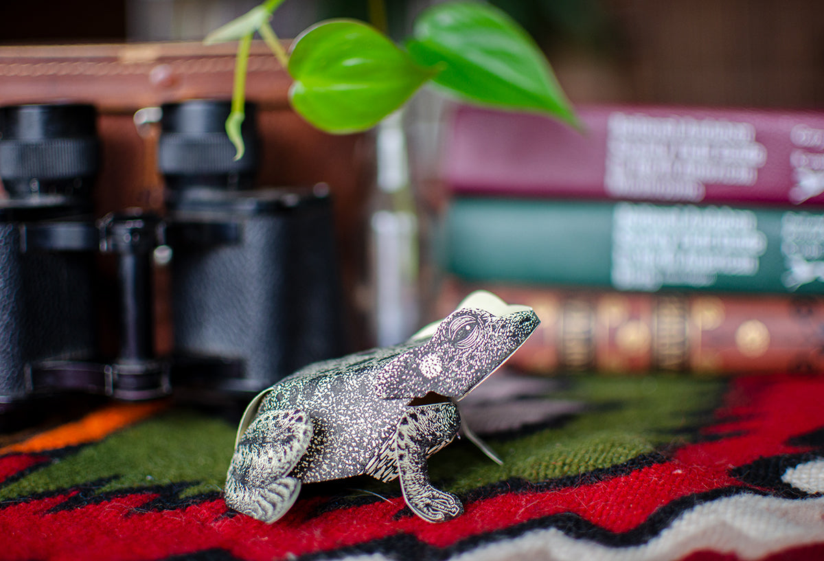 Toad Paper Sculpture- A DIY Kit