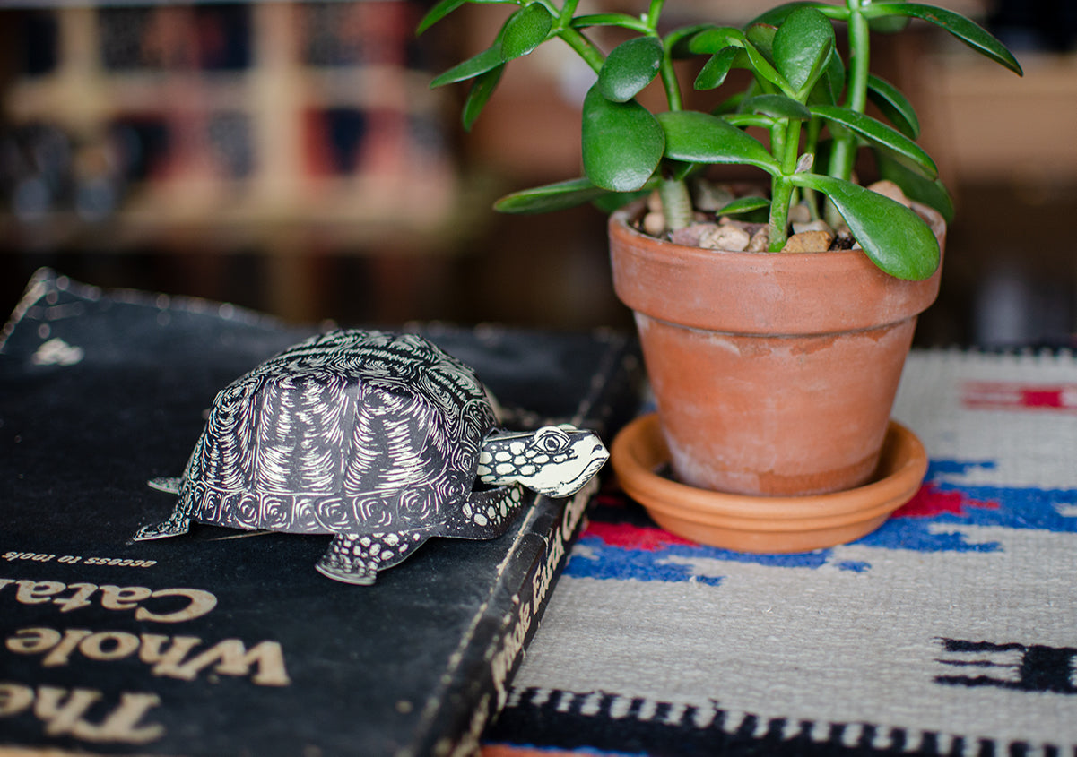 Turtle Paper Sculpture- A DIY Kit