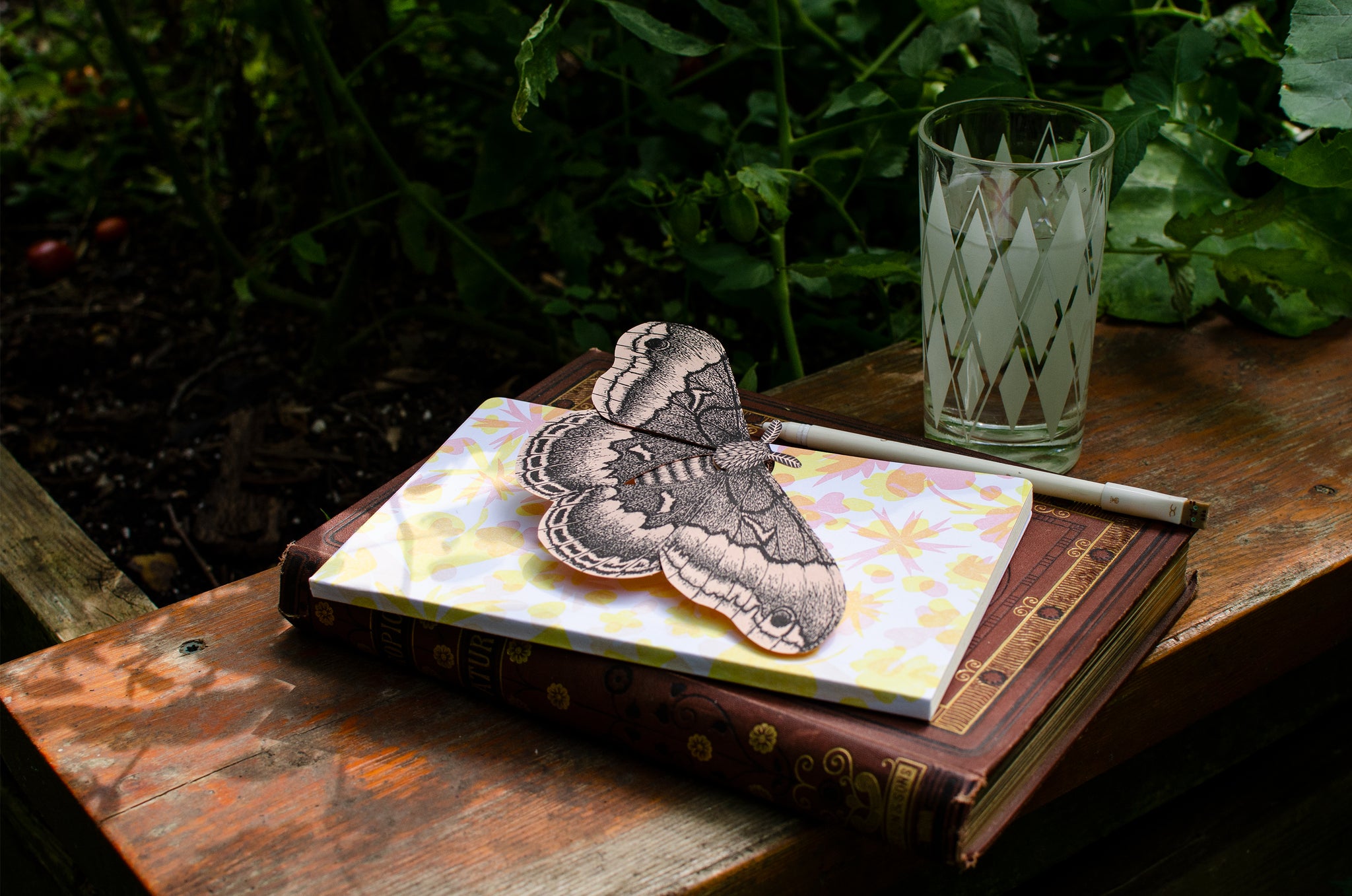 Moth Paper Sculpture- A DIY Kit