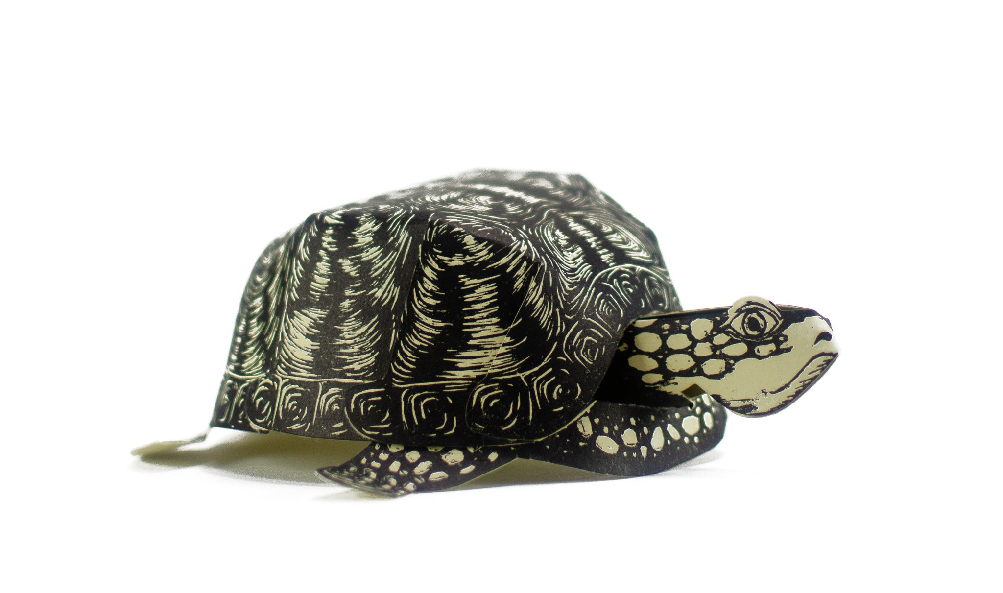 Turtle Paper Sculpture- A DIY Kit
